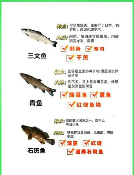 草鱼和鲤鱼有什么区别_哪个更好吃-第1张图片-山城妙识