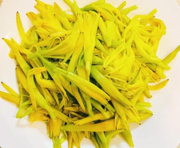 鲜黄花菜怎么焯水去毒_鲜黄花菜怎么炒才好吃-第1张图片-山城妙识