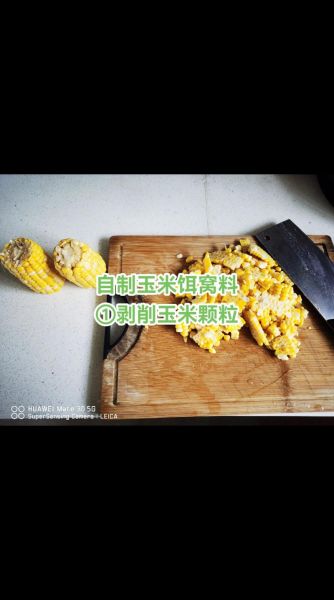 老玉米钓鱼饵料怎么做_老玉米饵料泡制技巧-第1张图片-山城妙识