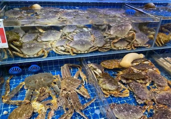 开卖海鲜亏了10几万怎么办_海鲜生意失败原因-第2张图片-山城妙识 开卖海鲜亏了10几万怎么办_海鲜生意失败原因-第2张图片-山城妙识