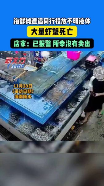 开卖海鲜亏了10几万怎么办_海鲜生意失败原因-第1张图片-山城妙识 开卖海鲜亏了10几万怎么办_海鲜生意失败原因-第1张图片-山城妙识