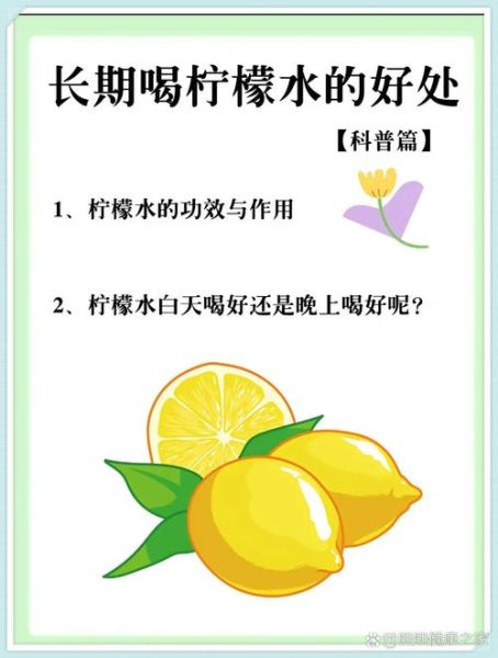 蜂蜜柠檬水可以每天喝吗_长期饮用的利弊-第3张图片-山城妙识