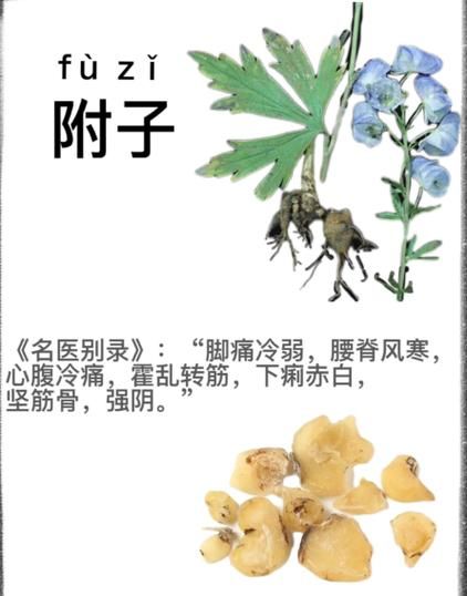 附子慢性中毒终生无解_附子中毒后遗症能治好吗-第2张图片-山城妙识