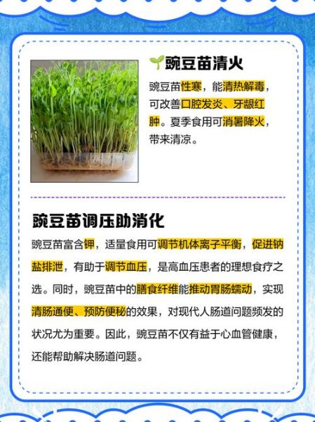 豌豆苗怎么种_豌豆苗的营养价值-第1张图片-山城妙识
