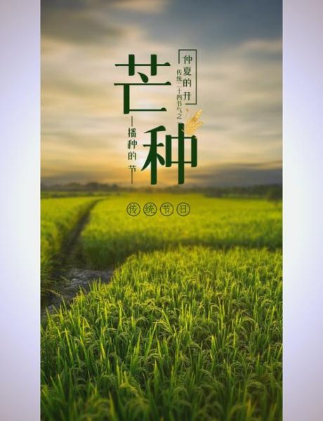 芒种吃什么食物_芒种养生吃什么-第1张图片-山城妙识