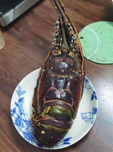 3斤大龙虾多少钱一斤_大龙虾价格怎么算-第2张图片-山城妙识 3斤大龙虾多少钱一斤_大龙虾价格怎么算-第2张图片-山城妙识