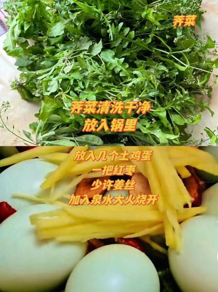 菱角菜的功效与作用_菱角菜怎么吃最营养-第3张图片-山城妙识 菱角菜的功效与作用_菱角菜怎么吃最营养-第3张图片-山城妙识