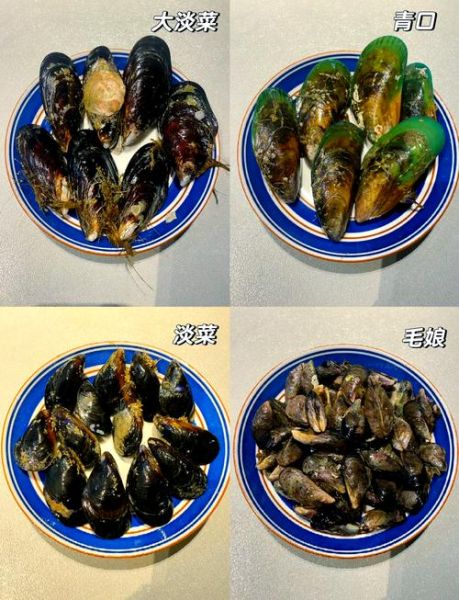 淡菜图片长什么样_淡菜和青口区别-第2张图片-山城妙识