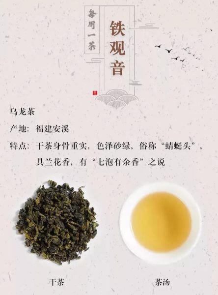 铁观音茶叶的功效与作用_铁观音适合什么人喝-第2张图片-山城妙识