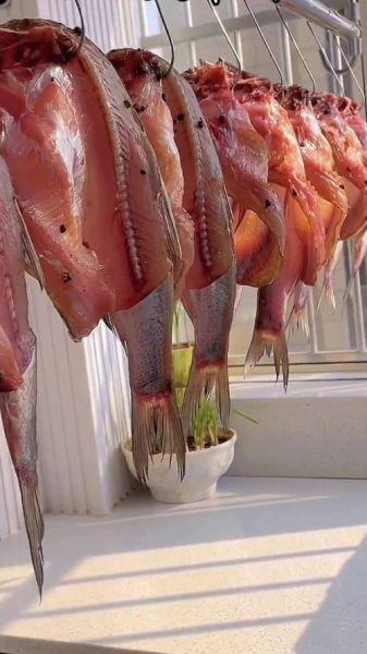 自制咸鱼怎么腌制_咸鱼腌制多久才入味-第3张图片-山城妙识