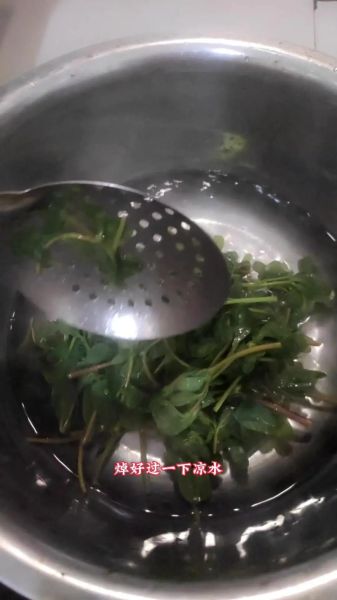 凉拌马齿苋怎么做_凉拌马齿苋的功效与禁忌-第3张图片-山城妙识