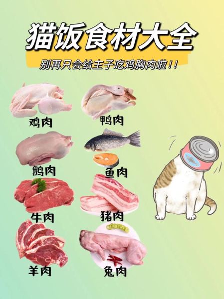 猫肉可以吃吗_猫肉合法吗-第2张图片-山城妙识