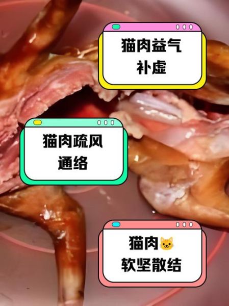 猫肉可以吃吗_猫肉合法吗-第1张图片-山城妙识