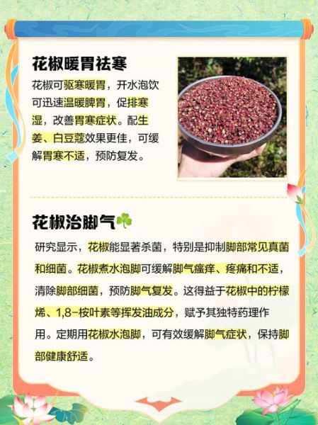 花椒的功效与作用及禁忌_花椒吃多了会怎样-第1张图片-山城妙识