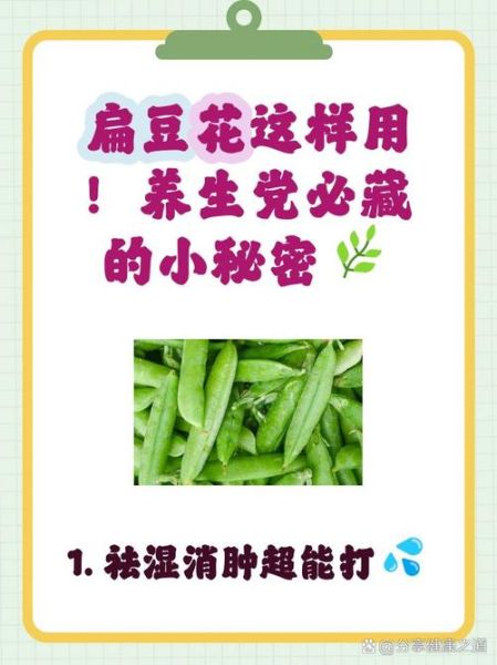 花扁豆怎么种_花扁豆营养价值高吗-第2张图片-山城妙识