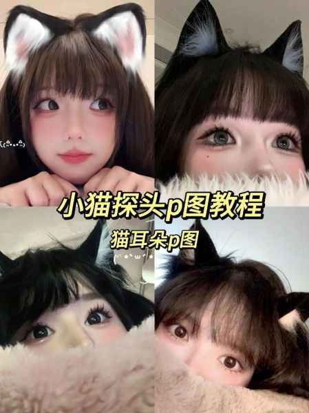 猫耳朵图片大全_如何挑选高清可爱图-第1张图片-山城妙识