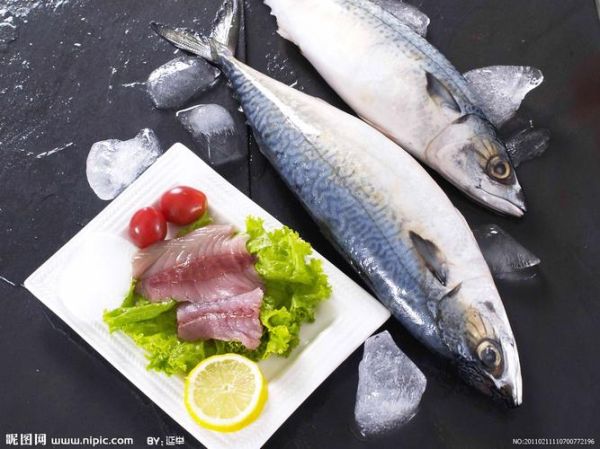 鲅鱼图片欣赏_高清大全哪里找-第3张图片-山城妙识