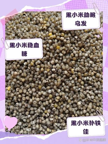黑小米的功效与作用_黑小米的禁忌症-第1张图片-山城妙识