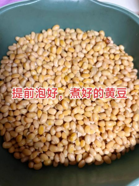 黄豆做酱豆的做法大全_黄豆酱豆怎么做好吃-第1张图片-山城妙识
