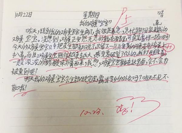醋泡鸡蛋实验作文怎么写_醋泡鸡蛋观察日记怎么写-第2张图片-山城妙识