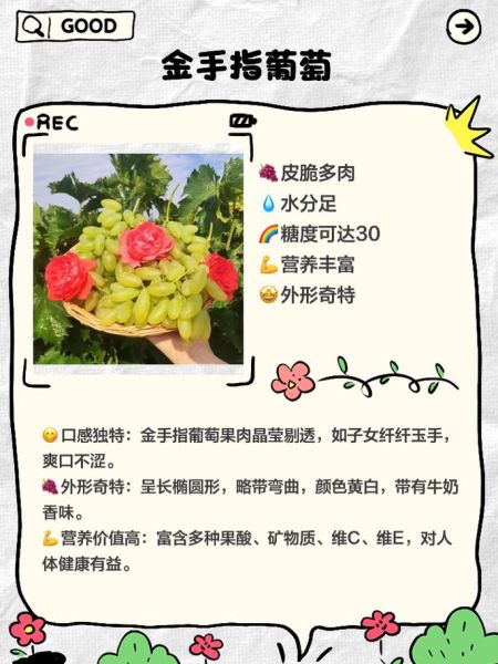 葡萄品种有哪些_哪个品种最甜-第3张图片-山城妙识