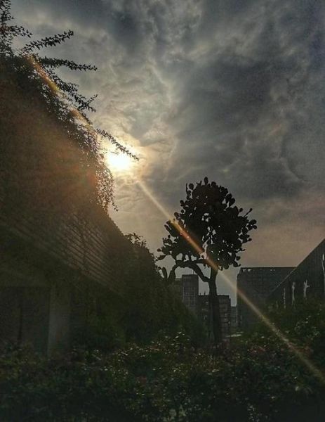 青椒泡菜怎么做_青椒泡菜怎么保存-第1张图片-山城妙识