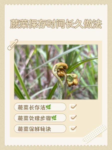 干蕨菜用热水还是冷水泡_泡发时间多久-第1张图片-山城妙识