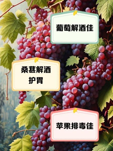 解酒最快的食物有哪些_如何快速醒酒-第3张图片-山城妙识