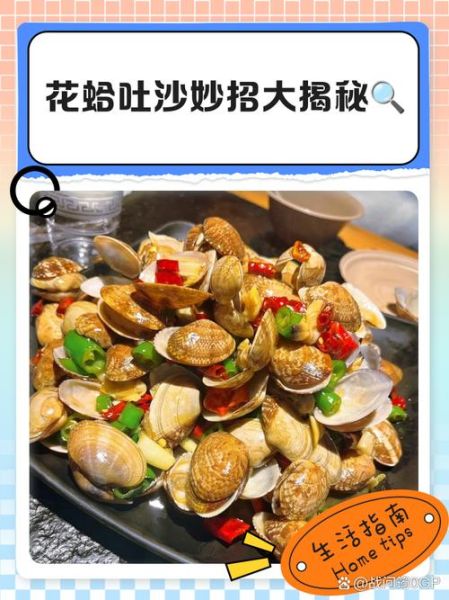 花蛤怎么快速吐沙_花蛤吐沙最快的方法-第3张图片-山城妙识