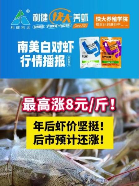 南美白对虾多少钱一斤_2024年最新行情-第2张图片-山城妙识