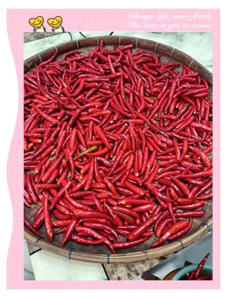 辣椒酱怎么长期保存_辣椒酱保存方法-第2张图片-山城妙识