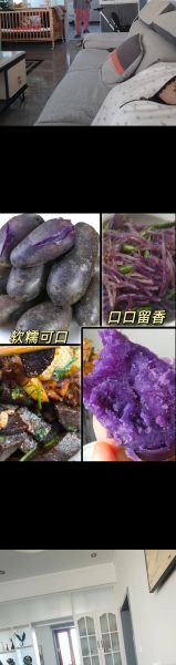黑土豆和普通土豆有什么区别_黑土豆营养价值高吗-第3张图片-山城妙识