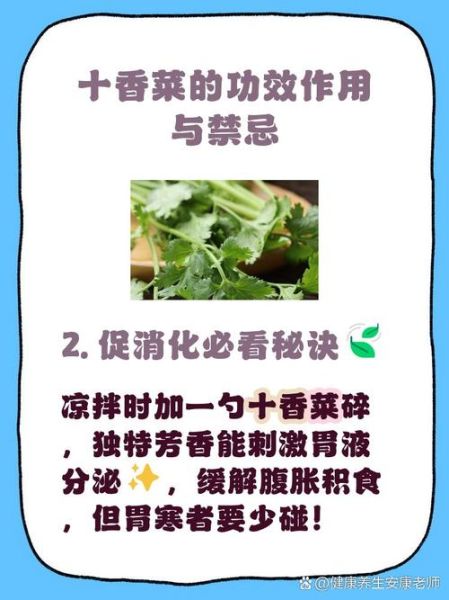 十香菜图片大全_十香菜怎么养-第3张图片-山城妙识