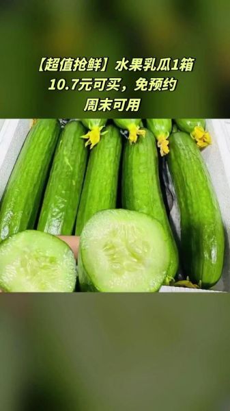 乳瓜热量是多少_乳瓜减肥能吃吗-第3张图片-山城妙识