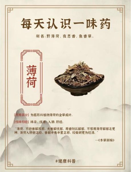 薄荷有什么功效_薄荷怎么吃效果最好-第2张图片-山城妙识