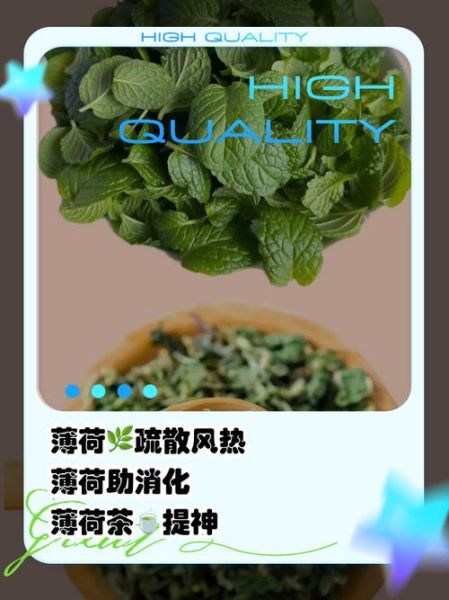 薄荷有什么功效_薄荷怎么吃效果最好-第1张图片-山城妙识