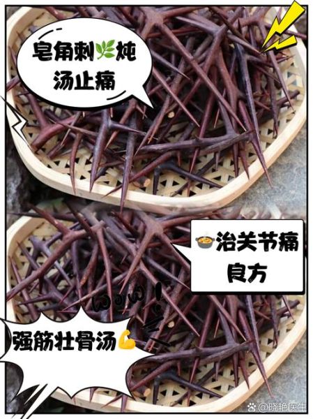 皂角刺的副作用与禁忌_哪些人不能吃皂角刺-第2张图片-山城妙识