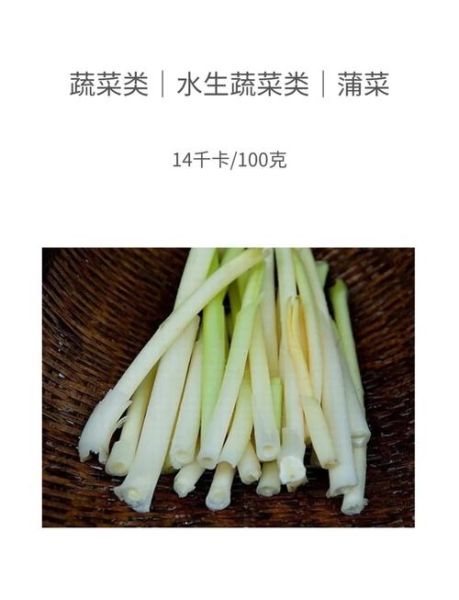 蒲菜吃哪个部位_蒲菜怎么吃图解-第1张图片-山城妙识