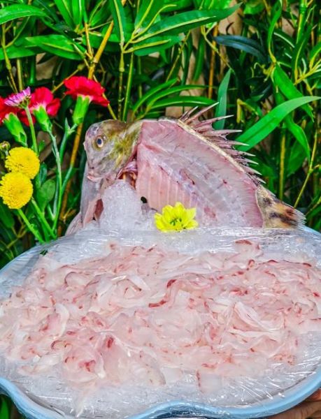 顺德鱼生用什么鱼_顺德鱼生常见鱼种-第1张图片-山城妙识 顺德鱼生用什么鱼_顺德鱼生常见鱼种-第1张图片-山城妙识