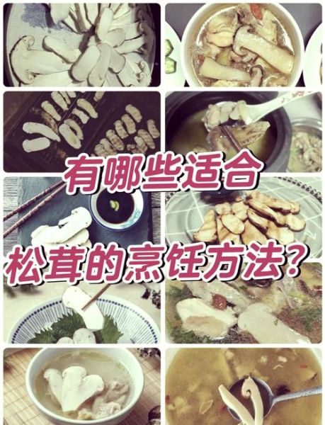 新鲜松茸怎么做好吃_新鲜松茸的做法大全-第1张图片-山城妙识