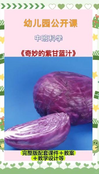 紫甘蓝变色实验怎么做_紫甘蓝汁遇酸碱颜色变化原理-第2张图片-山城妙识