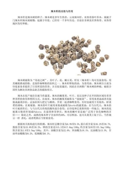 辣木籽的功效与作用有哪些_辣木籽怎么吃效果最好-第3张图片-山城妙识
