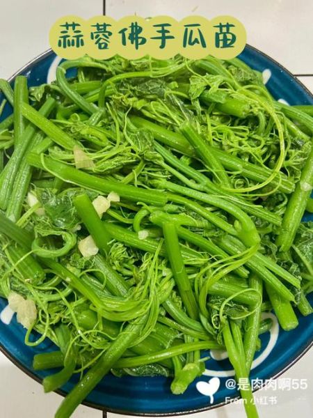 清炒佛手瓜苗怎么炒_佛手瓜苗焯水几分钟-第1张图片-山城妙识