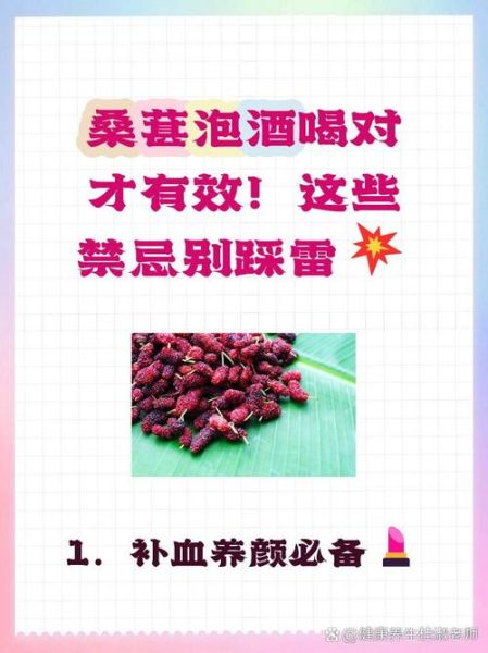 桑葚泡酒的功效与作用_桑葚泡酒怎么泡效果最好-第2张图片-山城妙识