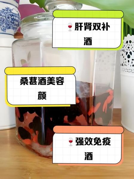 桑葚泡酒的功效与作用_桑葚泡酒怎么泡效果最好-第3张图片-山城妙识