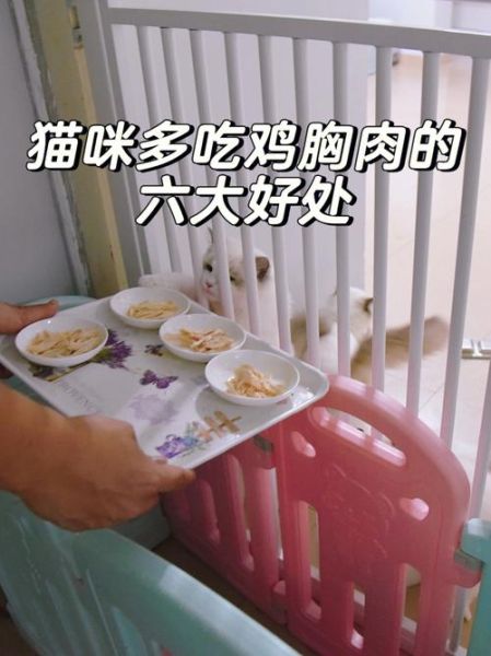 鸡胸肉煮多久给猫吃_猫咪吃煮鸡胸肉注意事项-第3张图片-山城妙识