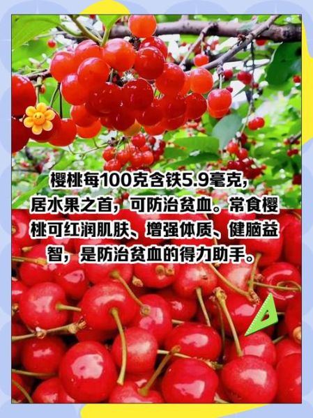 补血的水果有哪些_吃什么水果补血最快-第2张图片-山城妙识 补血的水果有哪些_吃什么水果补血最快-第2张图片-山城妙识