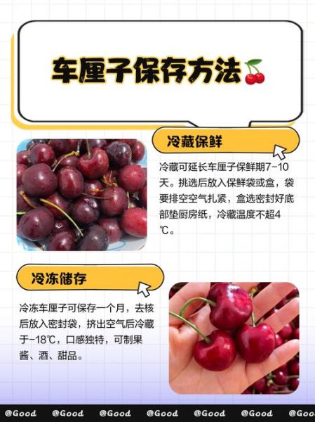 车厘子怎么保存才新鲜_车厘子可以放多久-第1张图片-山城妙识