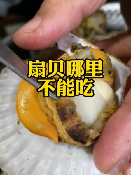 扇贝哪个部位不能吃_如何快速分辨-第1张图片-山城妙识