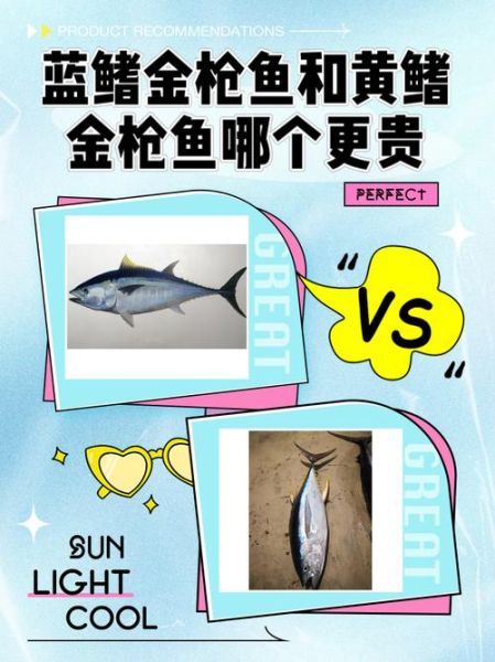 蓝鳍金枪鱼为什么这么贵_蓝鳍金枪鱼多少钱一斤-第1张图片-山城妙识